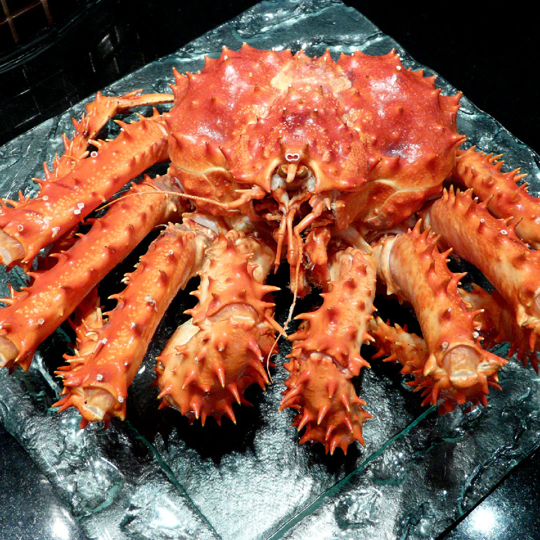King Crab Whole Frozen Cooked Russia – SeaFood King